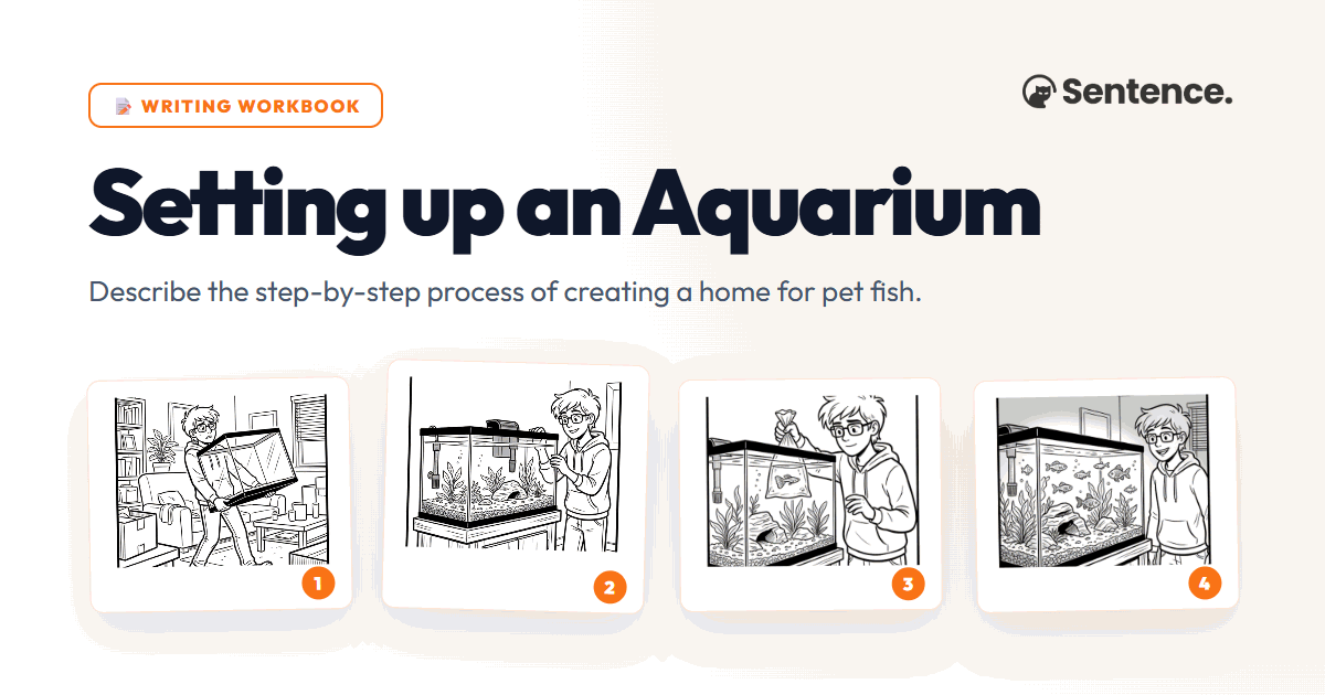 Setting up an Aquarium - English Writing Practice